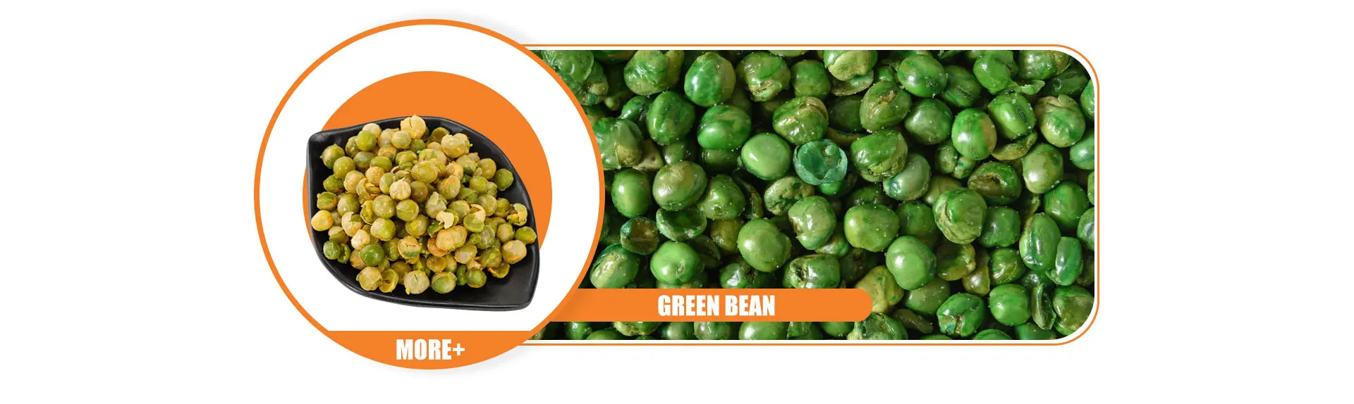 Company Overview - Hebei Gourmet Food Science And Technology Co., Ltd.