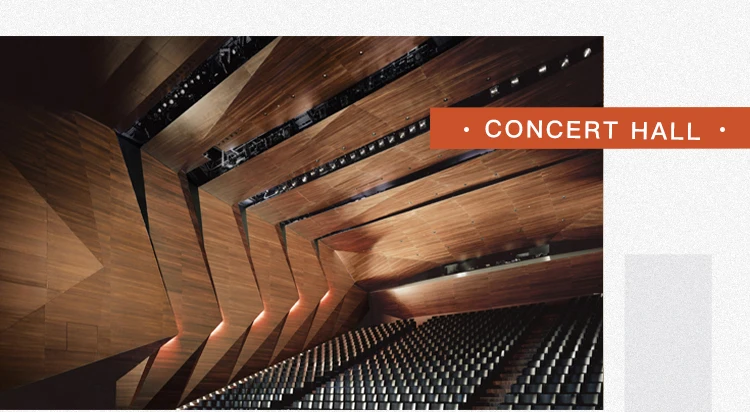 Veneer Wood Drop Ceiling Tiles for Home Interior Decoration