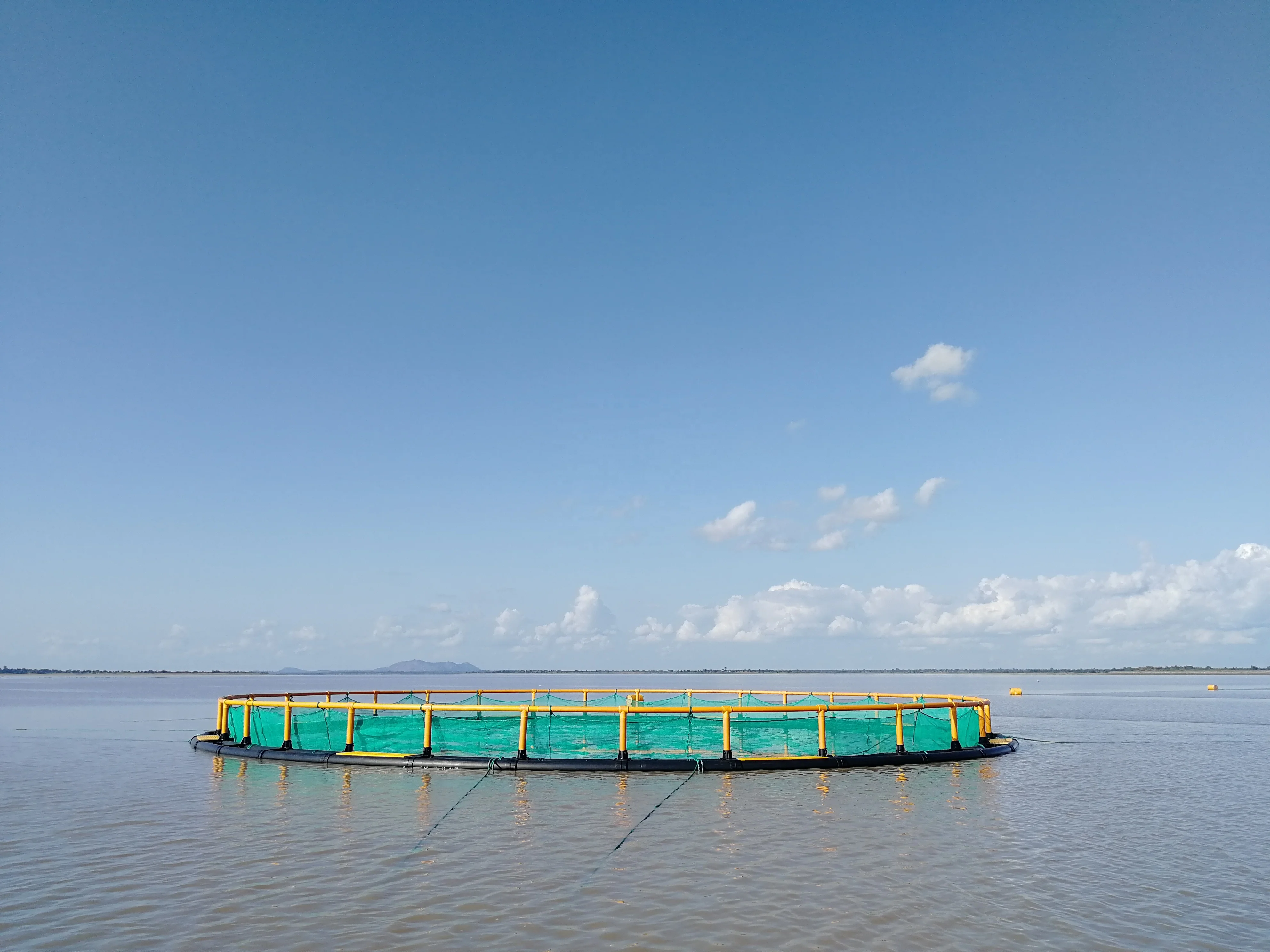 HDPE Floating Fish Cages - Durable & Customizable Solutions