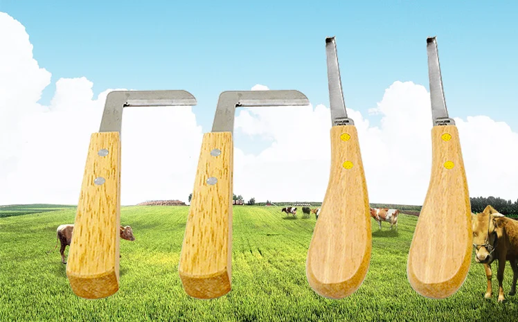 Cattle Hoof Trimming Tools - Sharp Bull Foot Cutting Blades