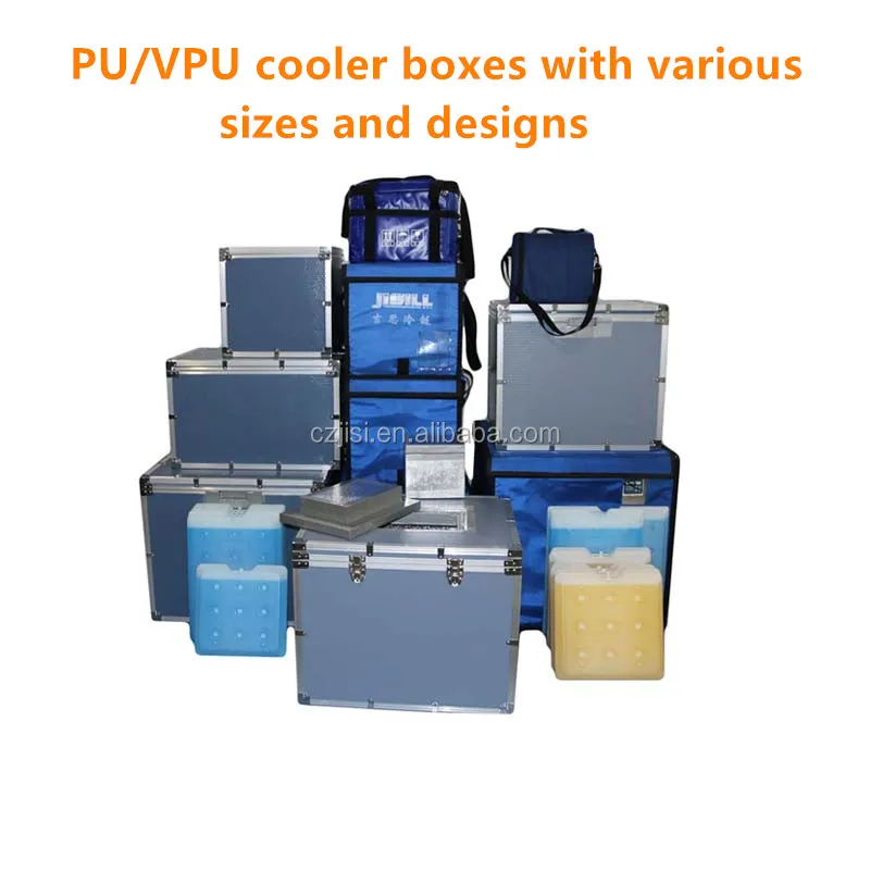19L Portable Foldable Medicine Vaccine Insulin Delivery Cooler Box with ...