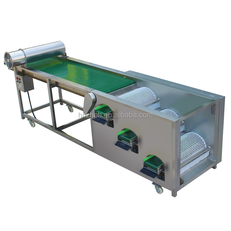 Stainless Steel Electric Fruit Size Grading Machine Blueberry Sorter ...