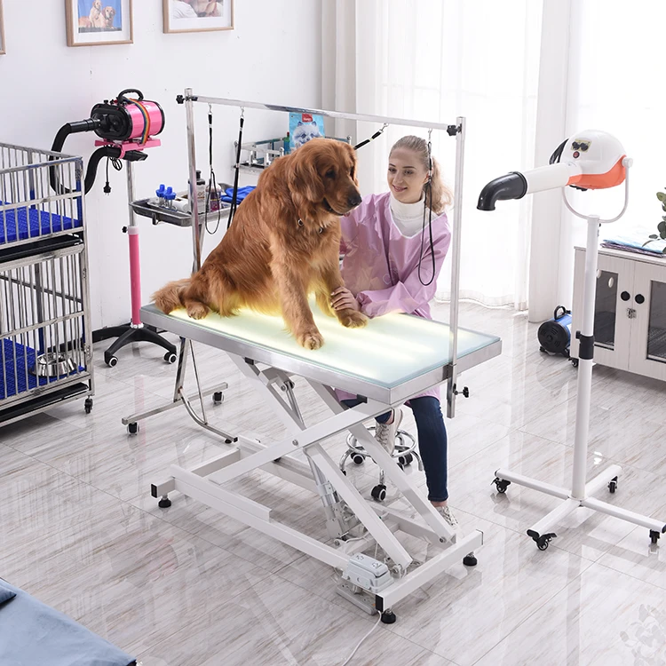 Electric Cross Lifting LED Light Pet Grooming Table for Large Dogs