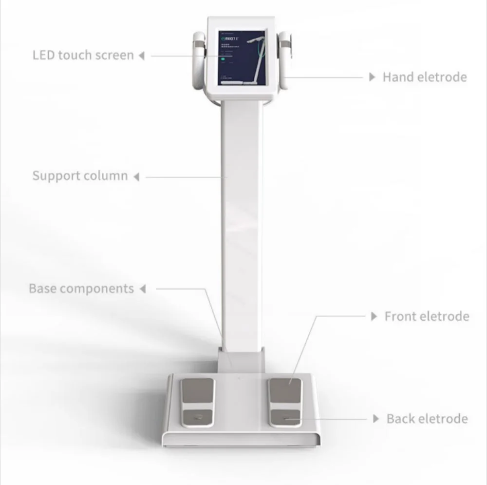 Bioelectrical Impedance Body Composition Analyzer Supplier