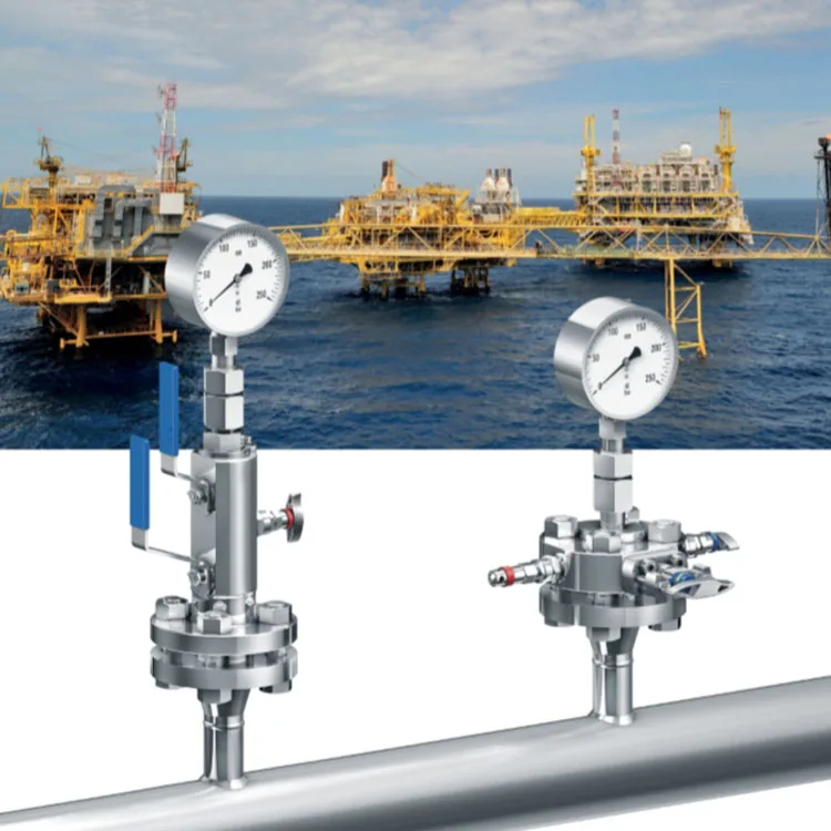 Integral double block and bleed valve,DBB VALVE,monoflange valve, View ...