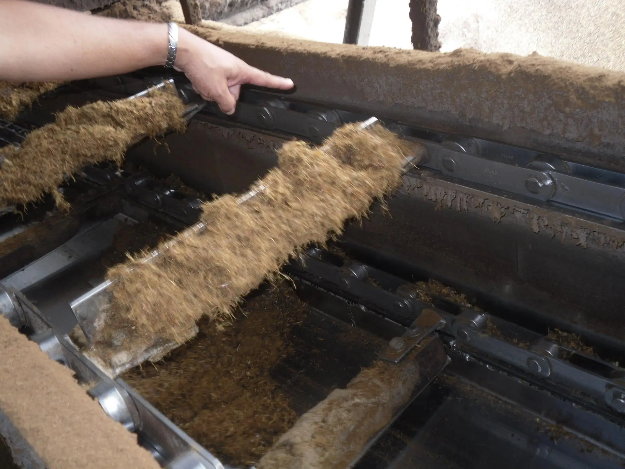 DIN ANSI ISO BS JS Standard Palm Oil Mills Conveyor Roller Chain