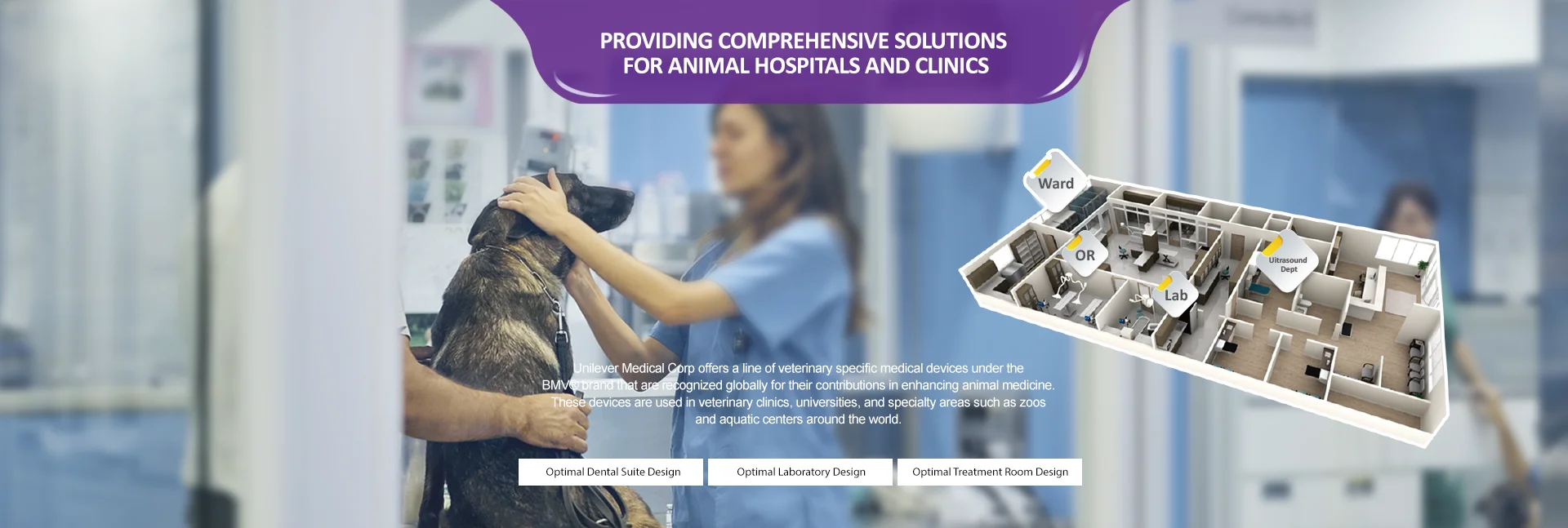 Company Overview - BMV Technology Co., Ltd.