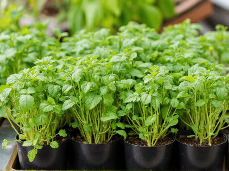 Container Herb Gardening: Complete Science-Backed Guide