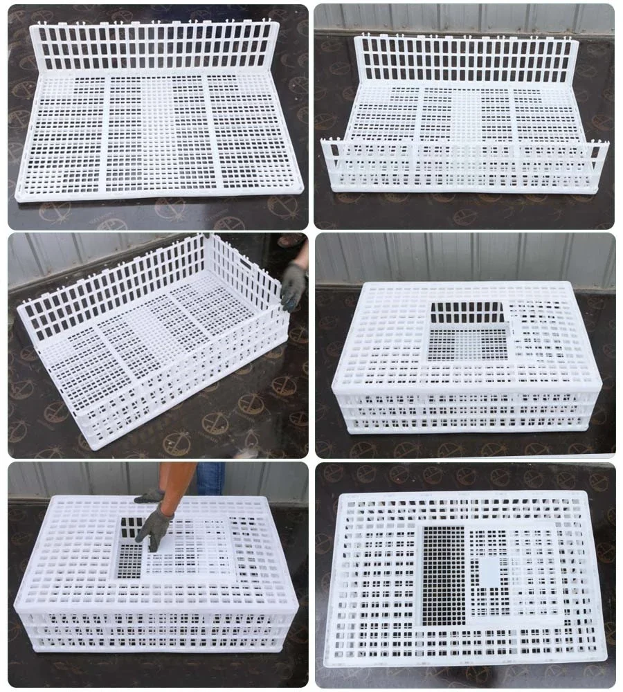 HDPE Plastic Chicken Transport Crate - Poultry Carrying Boxes