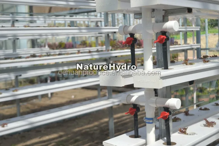 Wholesale PVC NFT Gully Hydroponic System for Vertical Farming