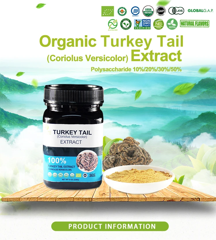 Herbal Wild Coriolus Versicolor Extract 30% Polysaccharides/ Beta ...