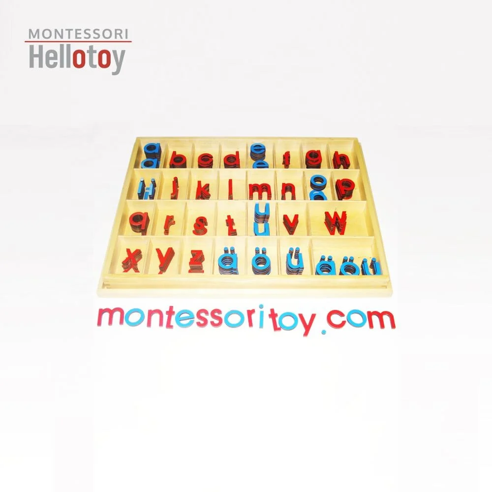 Montessori Language Movable Alphabet Box - Enhance Learning