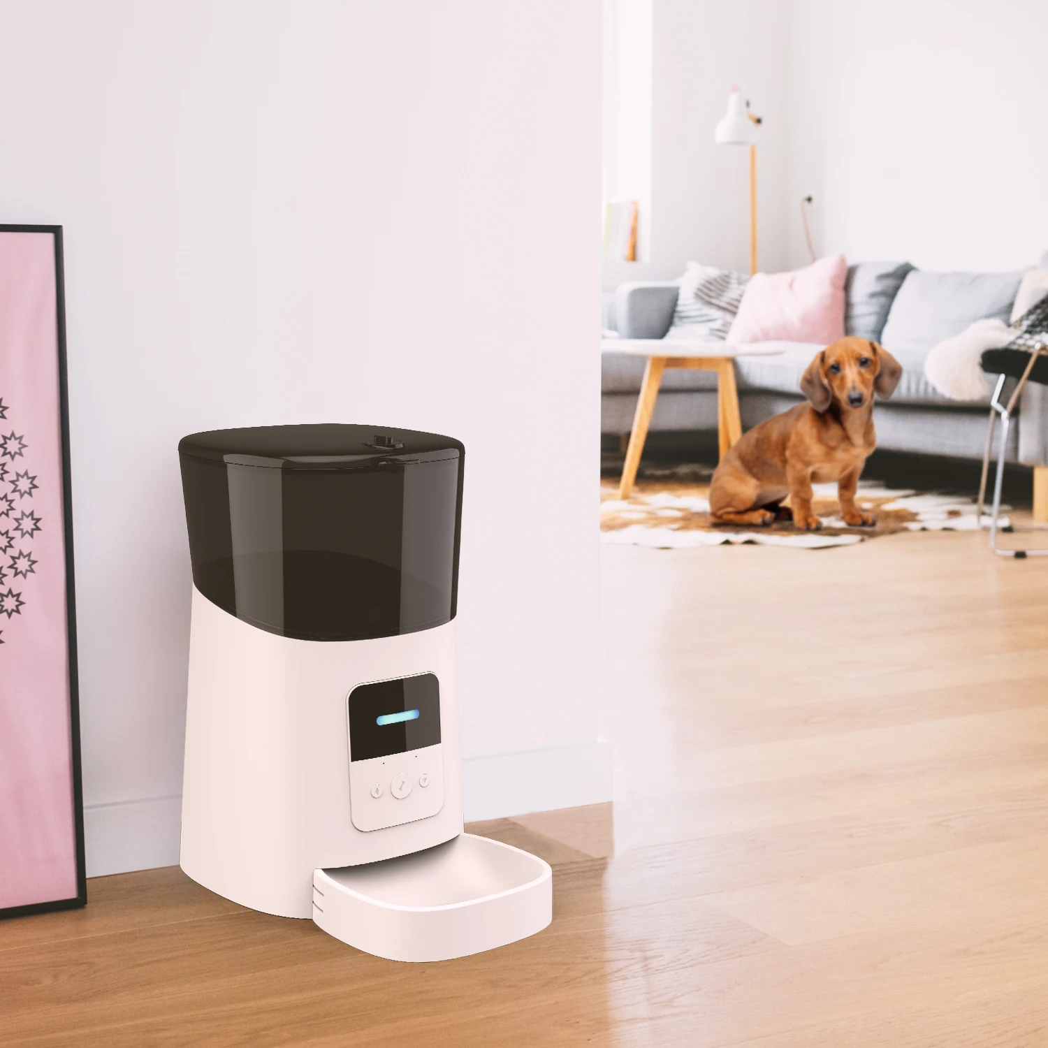 Smart Pet Feeder - Automatic & Portable Feeding Solutions