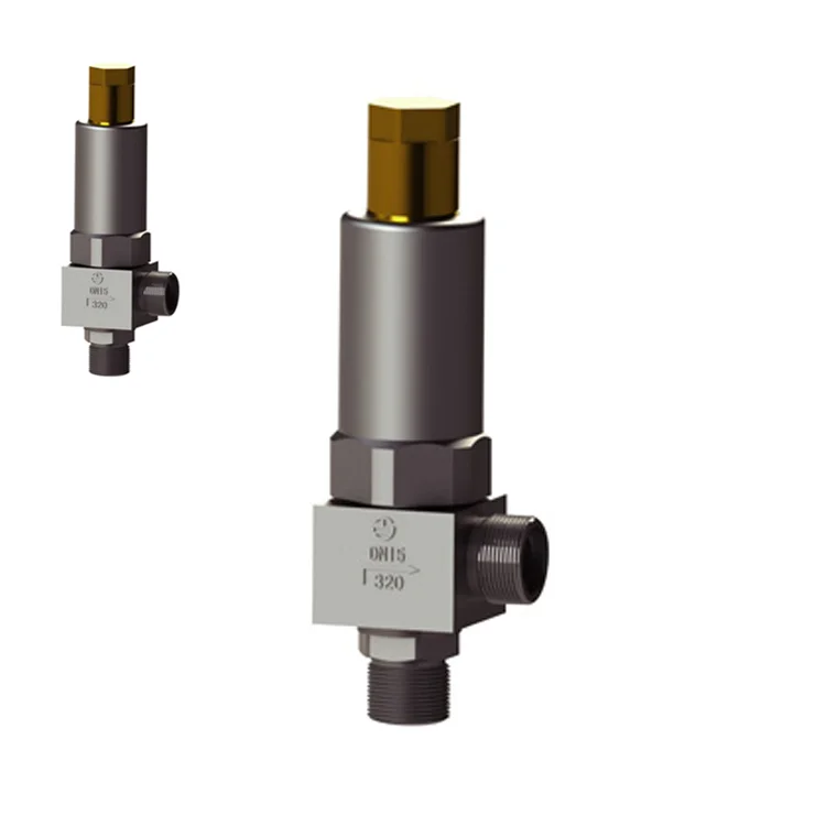 Dn15 Spring Type High Pressure Cryogenic Relief Valve Dga15.01 - Buy ...