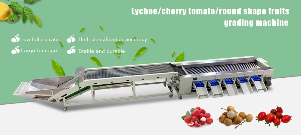 litchi lychee grading machine/ cherry tomato sorting grading machine ...