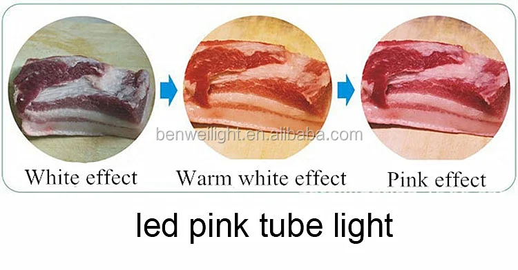 New Design Lamp T8 Led Fresh Meat Light Tube Pink Led Tube 1500mm 22w ...