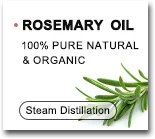 Company Overview - Jiangxi Wanlu Natural Fragrance Co., Ltd.