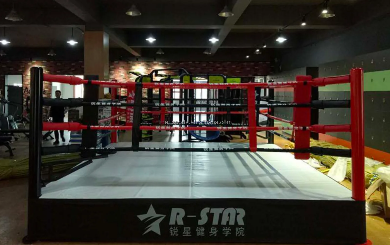 Competition Used Floor Boxing Gym Training Thai Mini Boxing Ring For ...