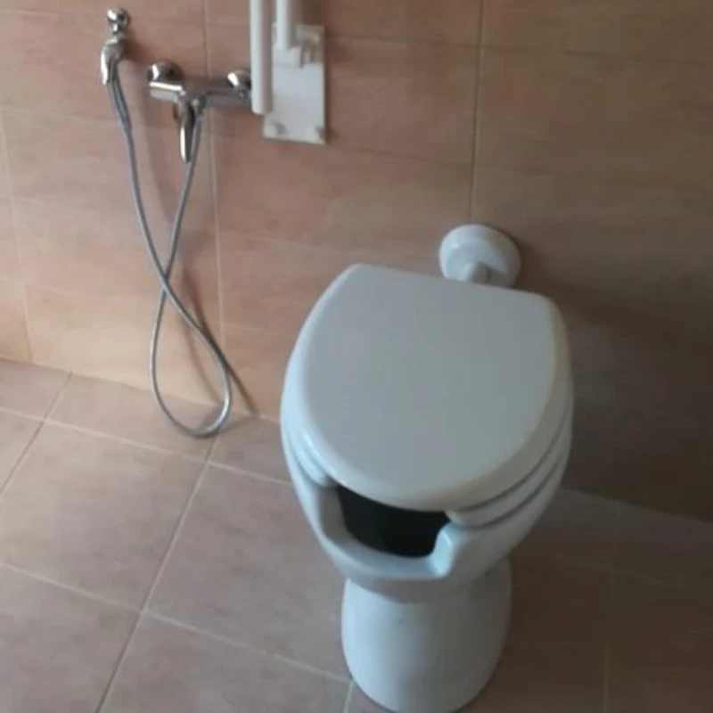 Assist Toilet Ecological Bidet Nursery Wc Mobile Room Care Sanitary ...