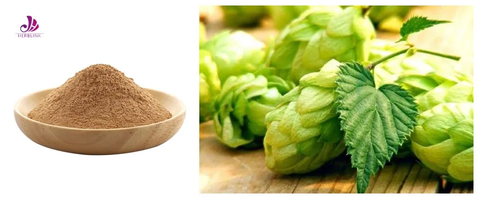 Factory Supply Natural Hops Extract Powder - Buy Hops Extract Powder ...