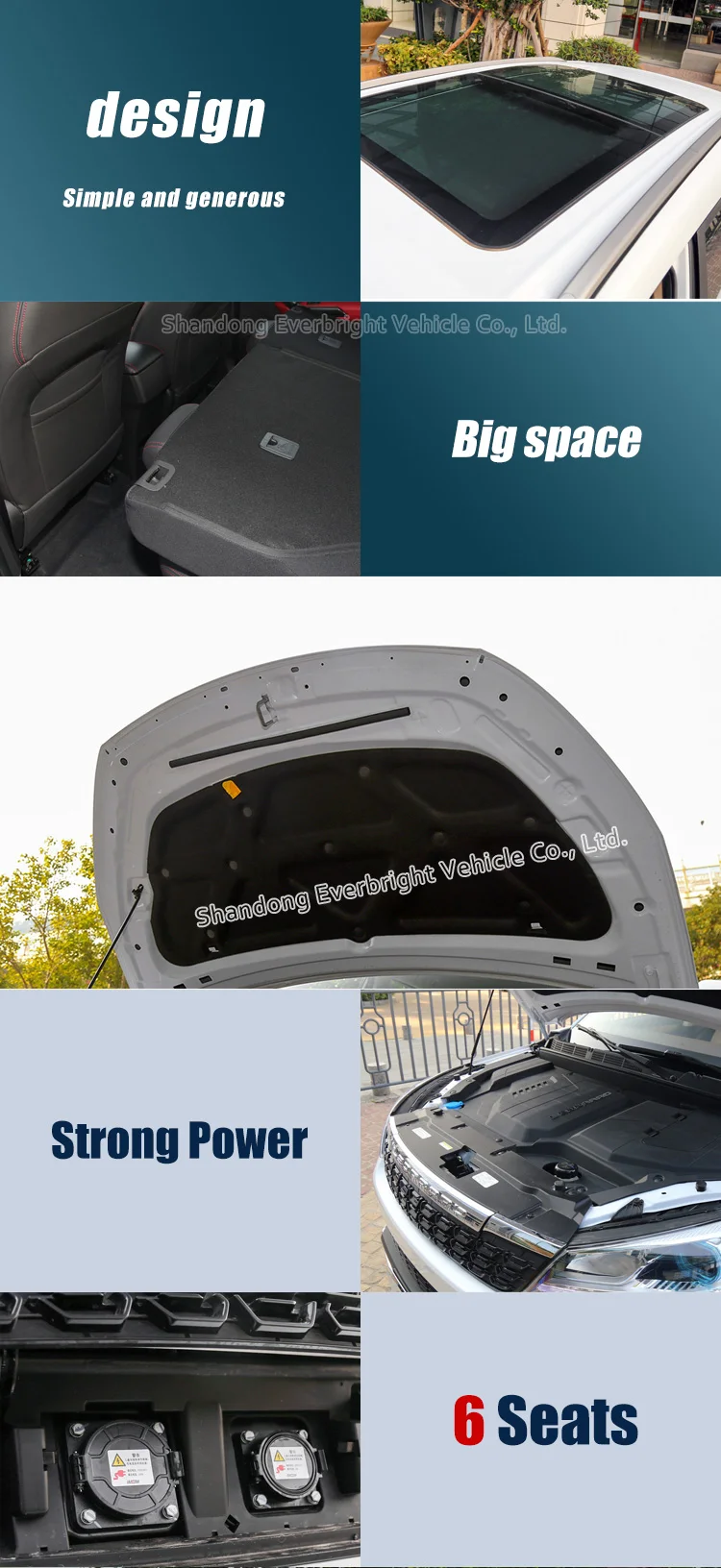 Liebao LEOPAARD CS9 EV300 - New Energy SUV with 6 Seats