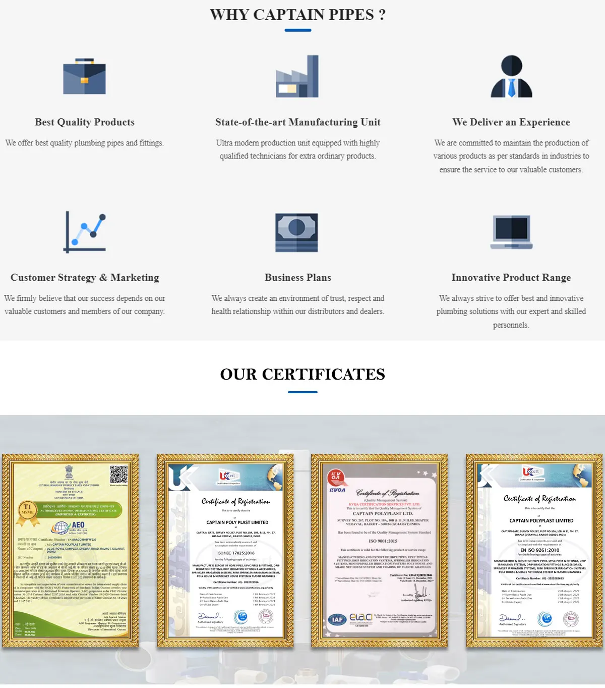 Company Overview - CAPTAIN POLYPLAST LIMITED