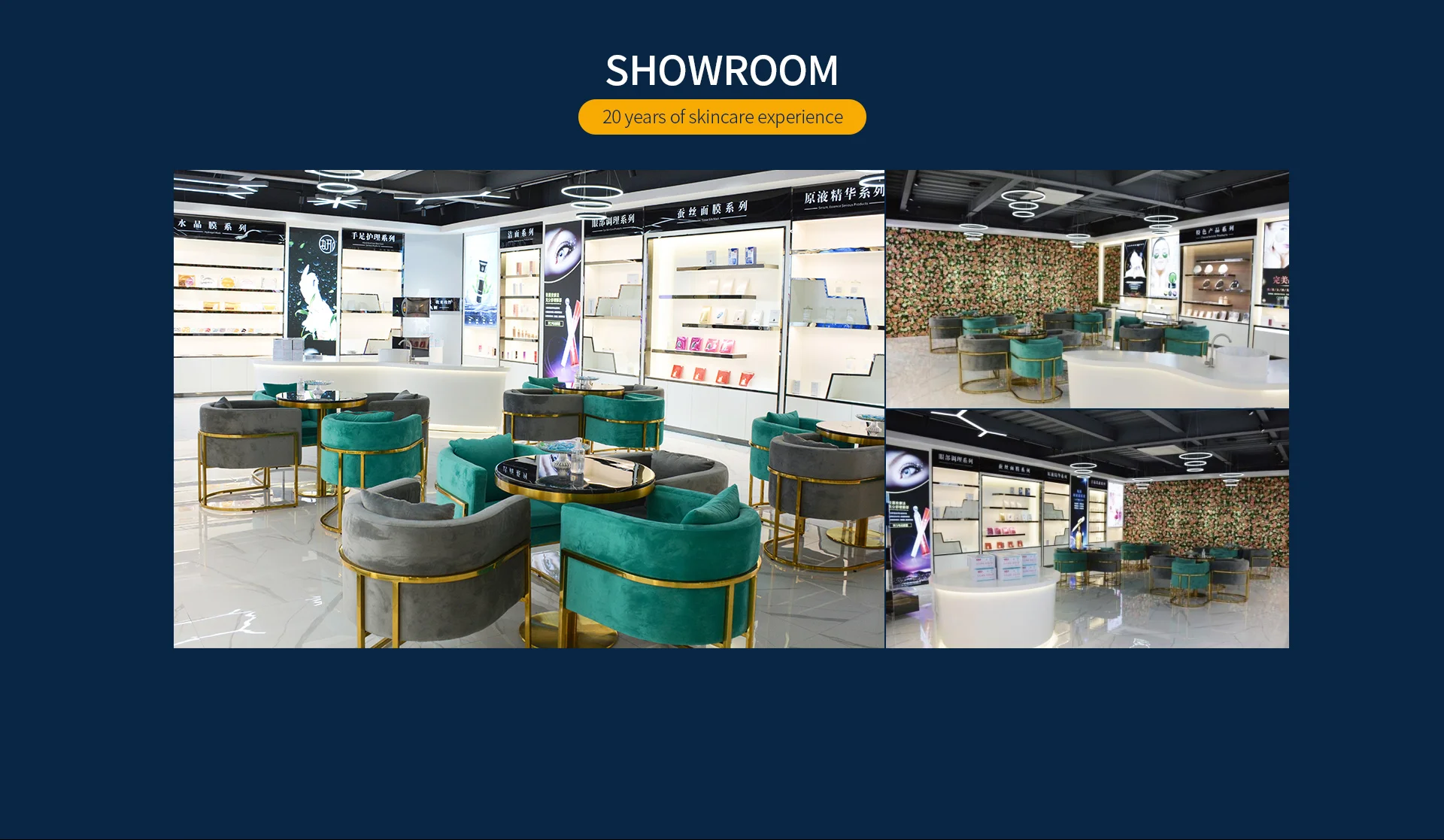 Company Overview - Guangdong Joyan Biological Technology Co., Ltd.