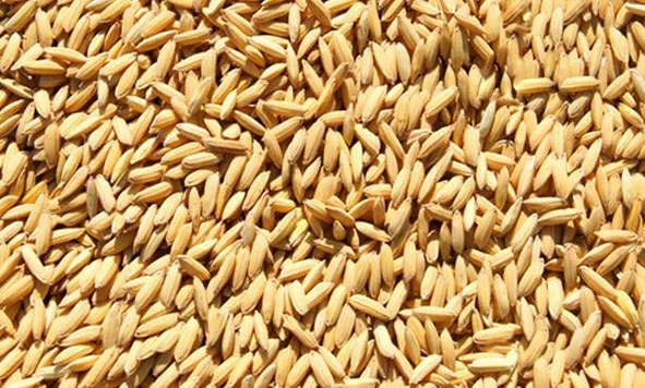 SB Series Multi Pass Rice Milling Machine - Rubber Roll Plant Cost