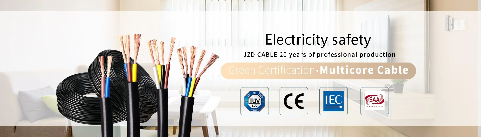 Shenzhen JZD Wire & Cable Co., Ltd.