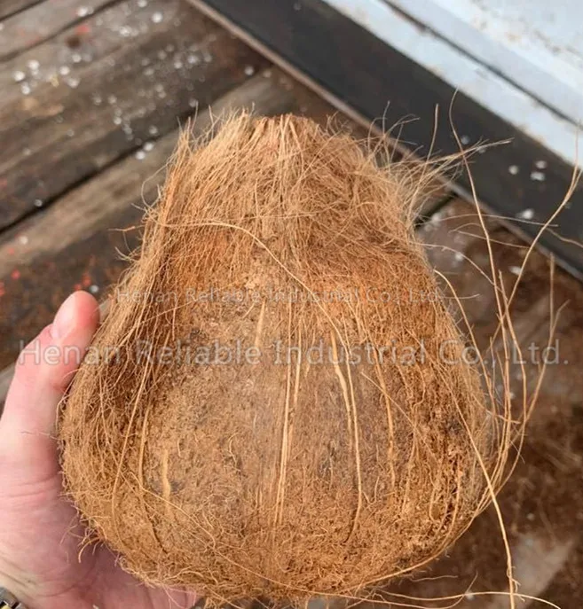 Efficient Coconut Shell Cleaning - High Productivity Machine