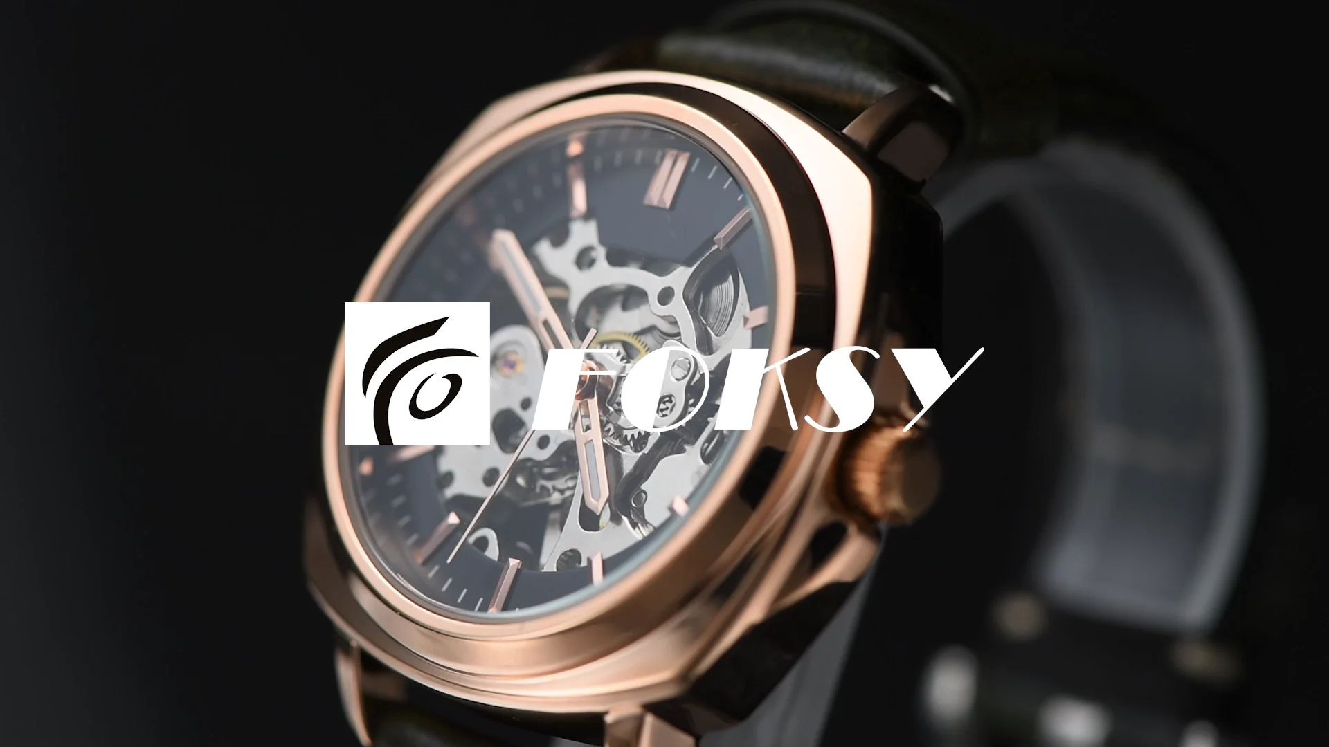 Oem Transparent Custom Logo Luxury Automatic Movement Watch - Buy ...