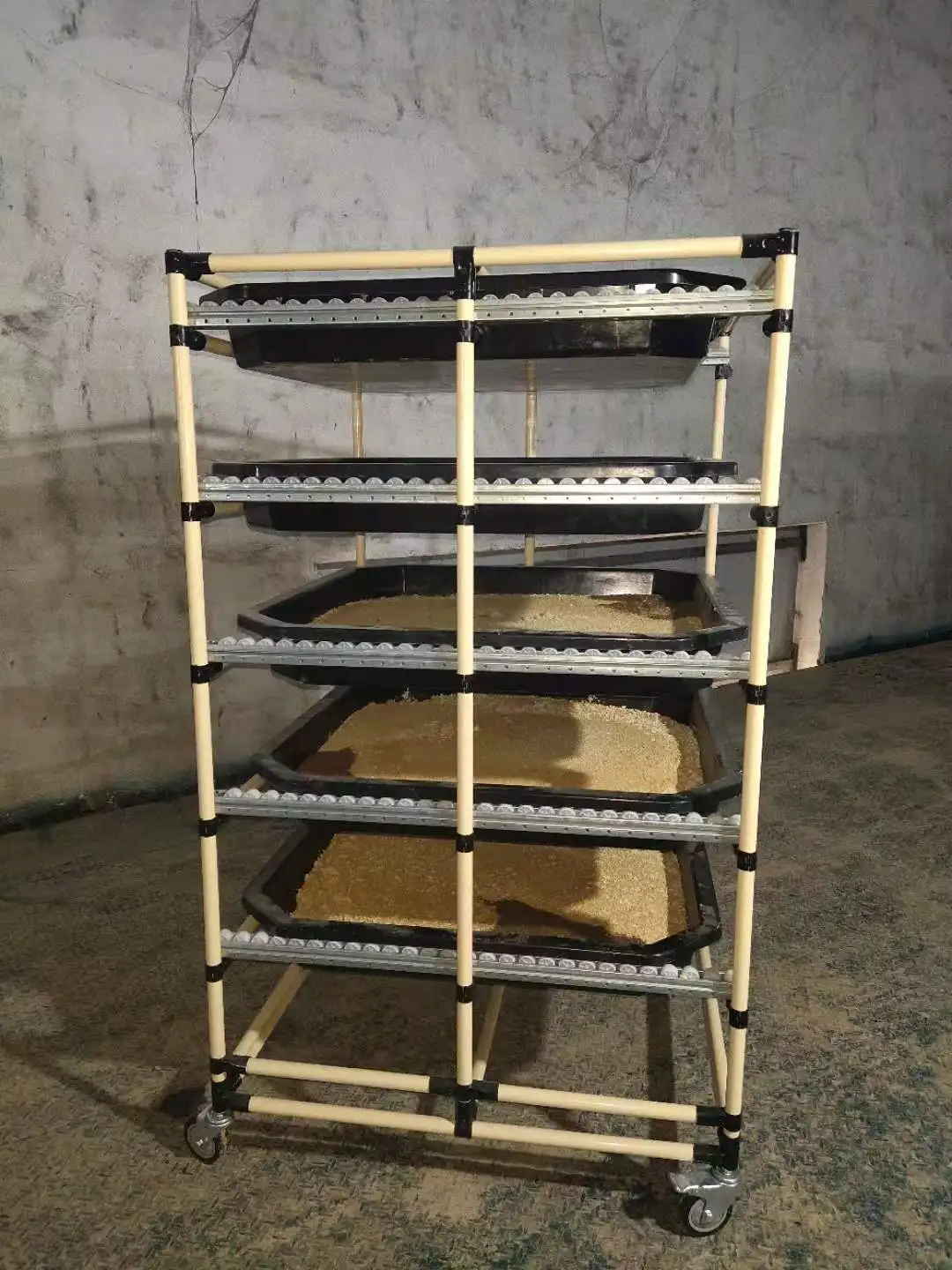 Black Soldier Fly Larvae Plastic Breeding Box 12cm Heigh Fiberglass ...