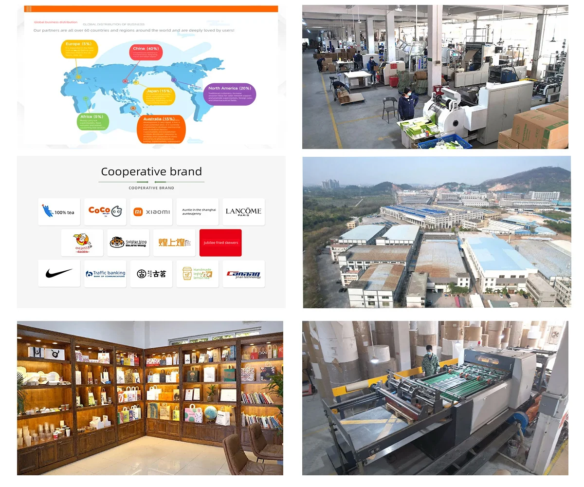 Company Overview - Xinle Daiyi Packaging Products Co., Ltd.