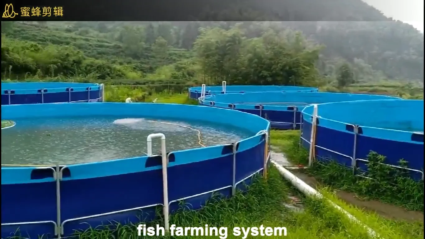 65000 L Ras Farming System Aquaculture Shrimp Tilapia Biofloc Tank Fish ...