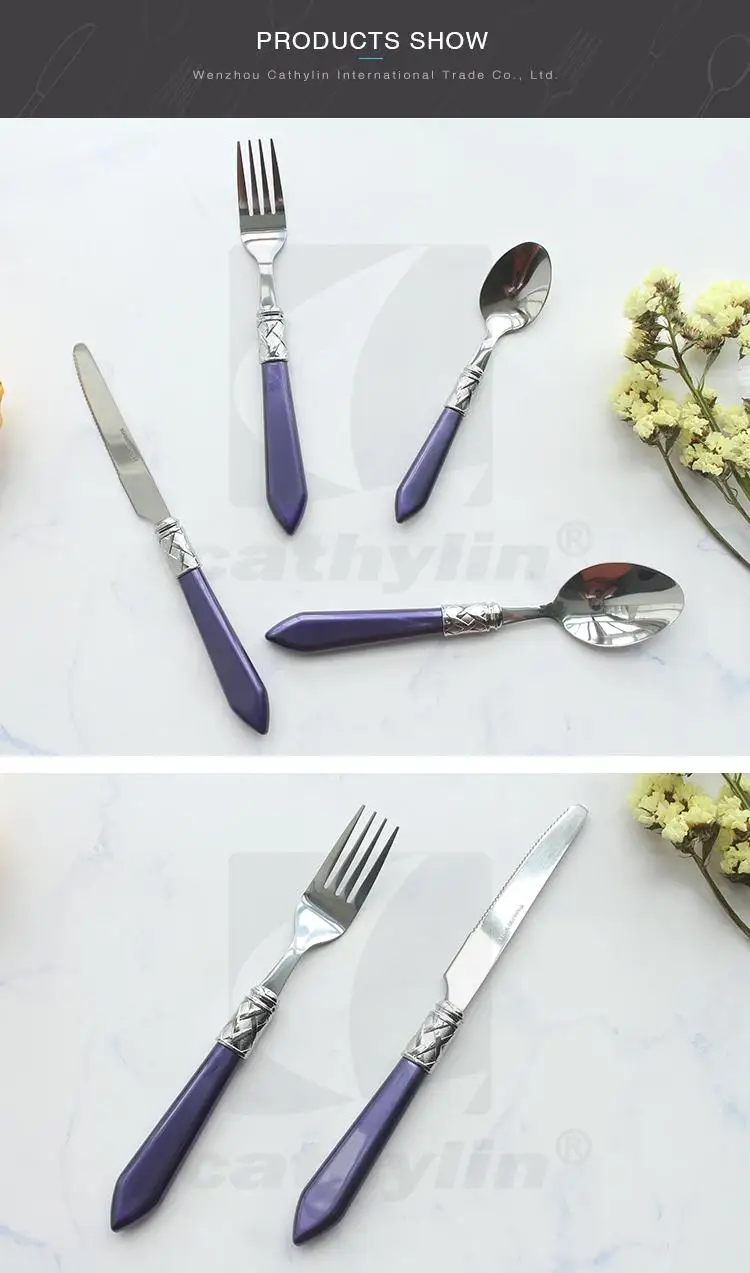 Cathylin Elegant Acrylic Flatware Stainless Steel Cutlery Set With ...