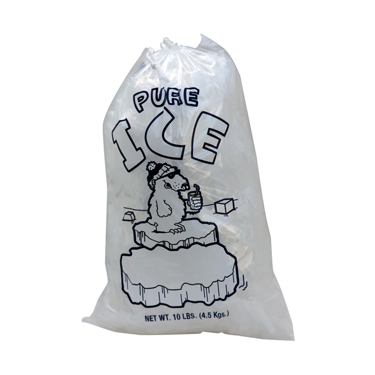 Customizable Logo Pattern Ice Plastic Bag Ice Packaging Bag Clear ...