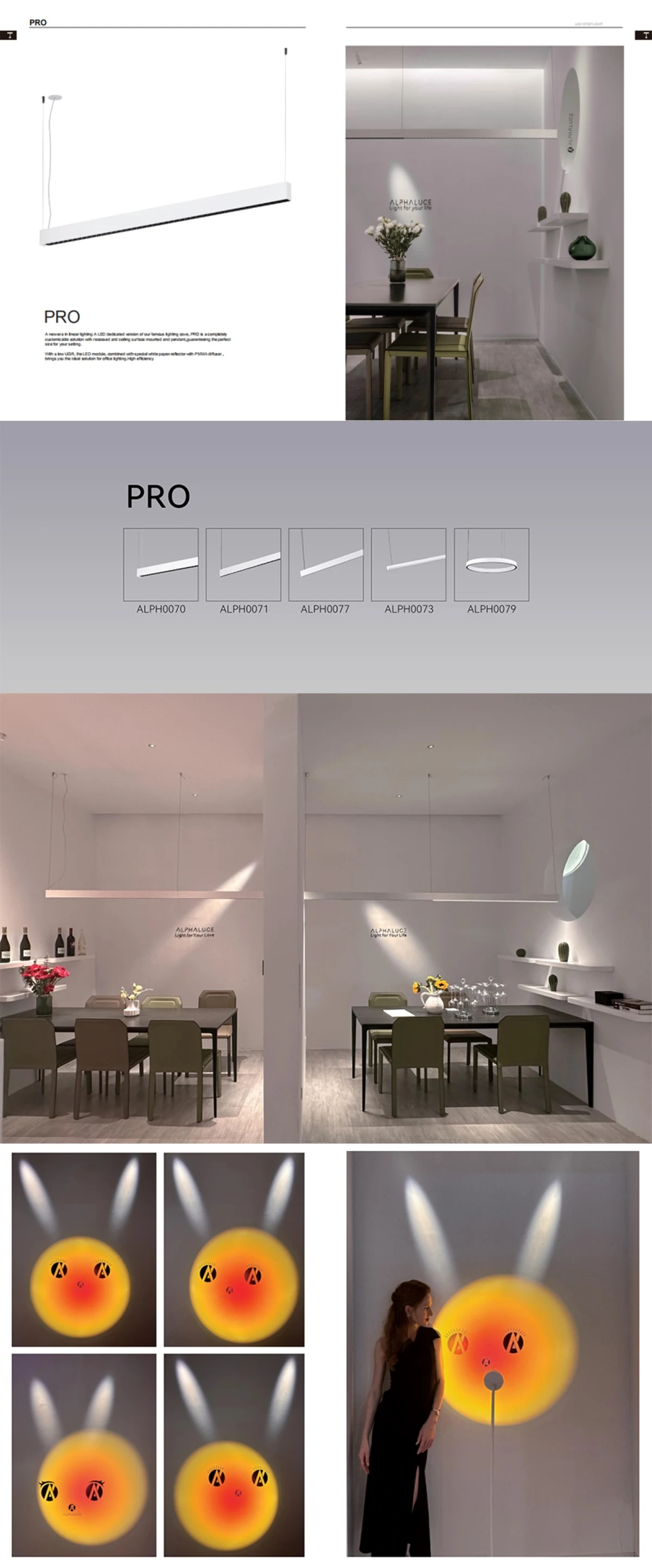 Guangdong Alpha Lighting Co., Ltd.