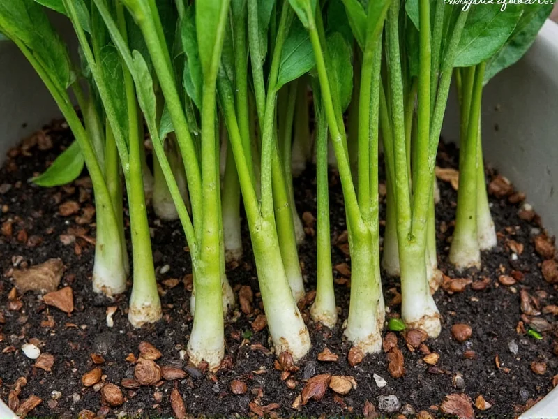 Healthy Pothos Roots: Signs, Fixes & Care Guide