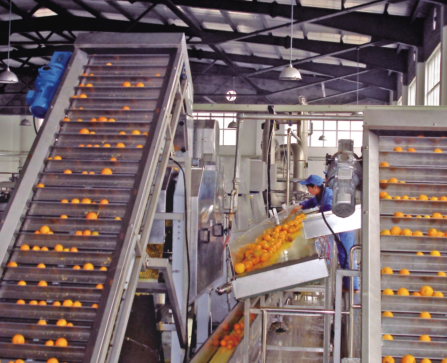 Fruit Elevator - Efficient Lifting Solutions for Fruits