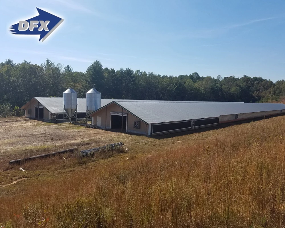 Prefabricated Low Cost Steel Structure Poultry Shed For Chicken Pig Cow ...