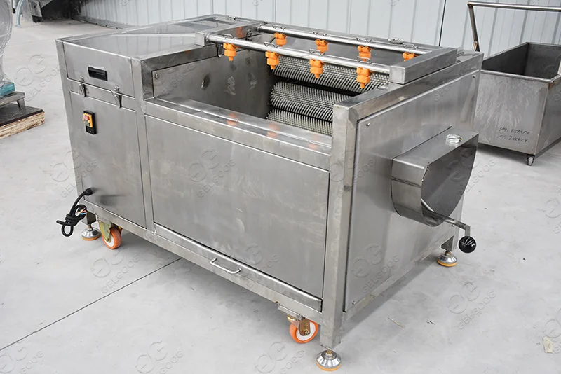 Automatic Beet Horseradish Washer - Efficient Radish Cleaning