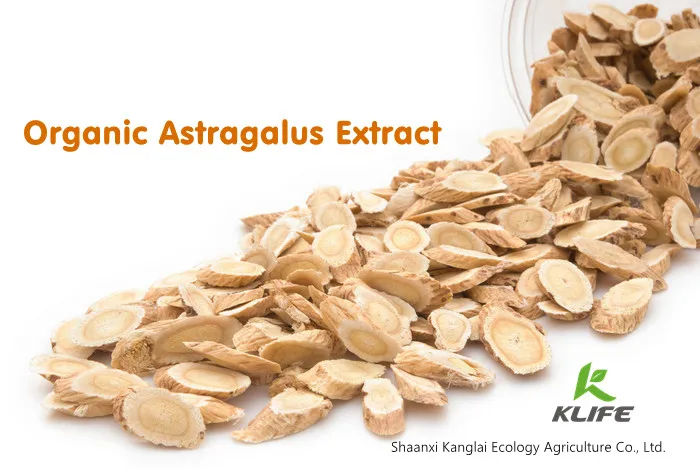 Hot Selling Organic Astragalus Root Extract Powder Natural Astragalus ...