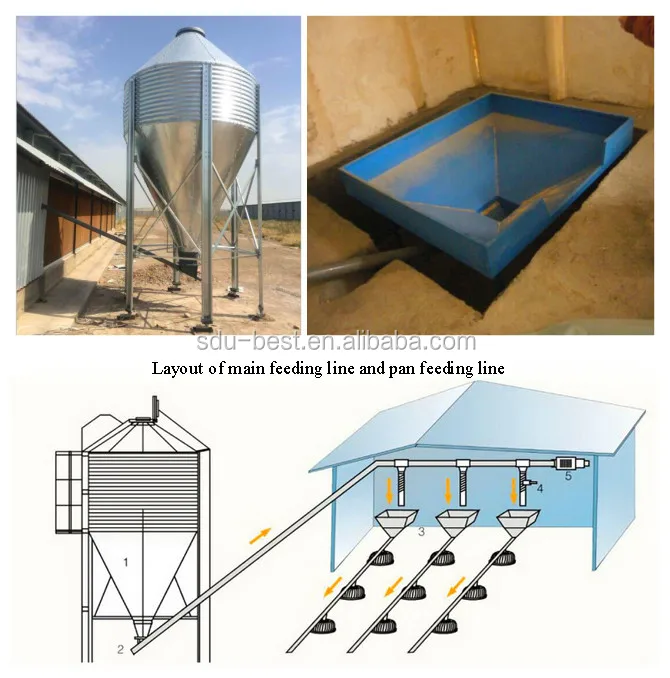 Control Shed Poultry Farming Building Modern Design Broiler Chicken ...