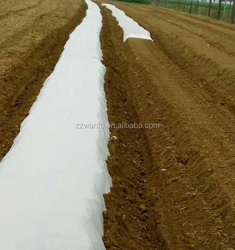 WANTUO Plastic Mulch Laying Machine for Strawberry Farming