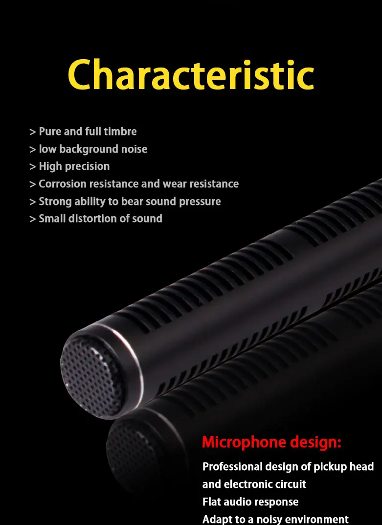 Single Directivity Microphone Camera De Studio Large Disaphragm ...