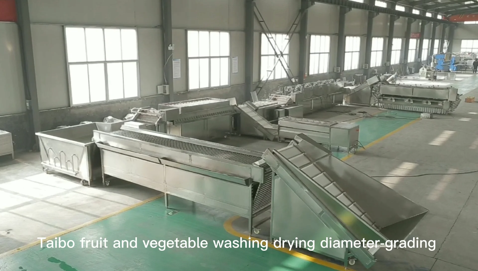 Industrial Automatic Fruit Vegetable Washing Waxing Drying And Sorting ...