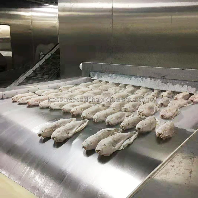 1500kg/h IQF Tunnel Freezer for Efficient Seafood Freezing
