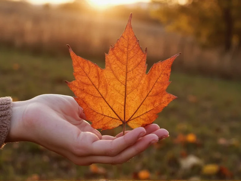 When Does Fall Start and End: 2024 Dates by Hemisphere