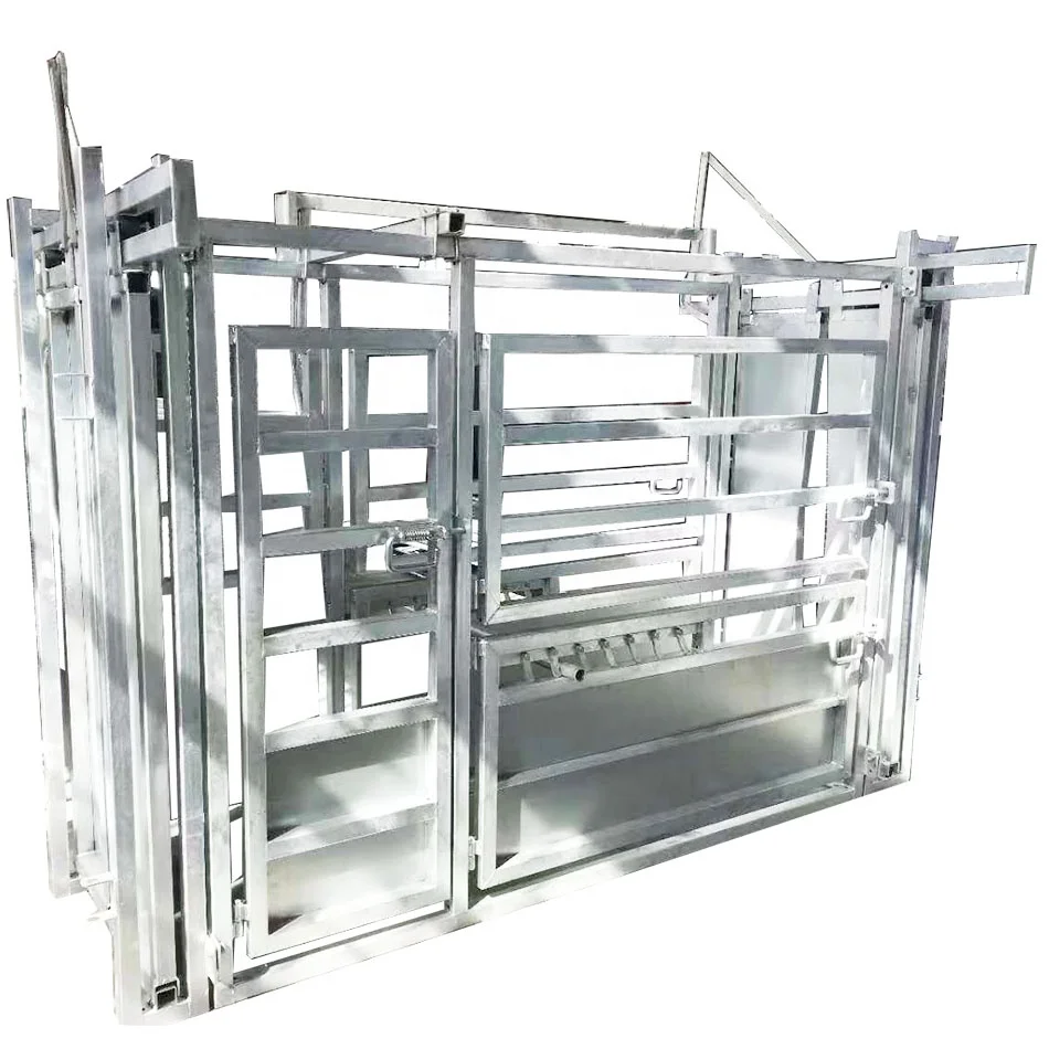 Livestock Equipment Cattle Chute Weigh Crate - Durable & Efficient