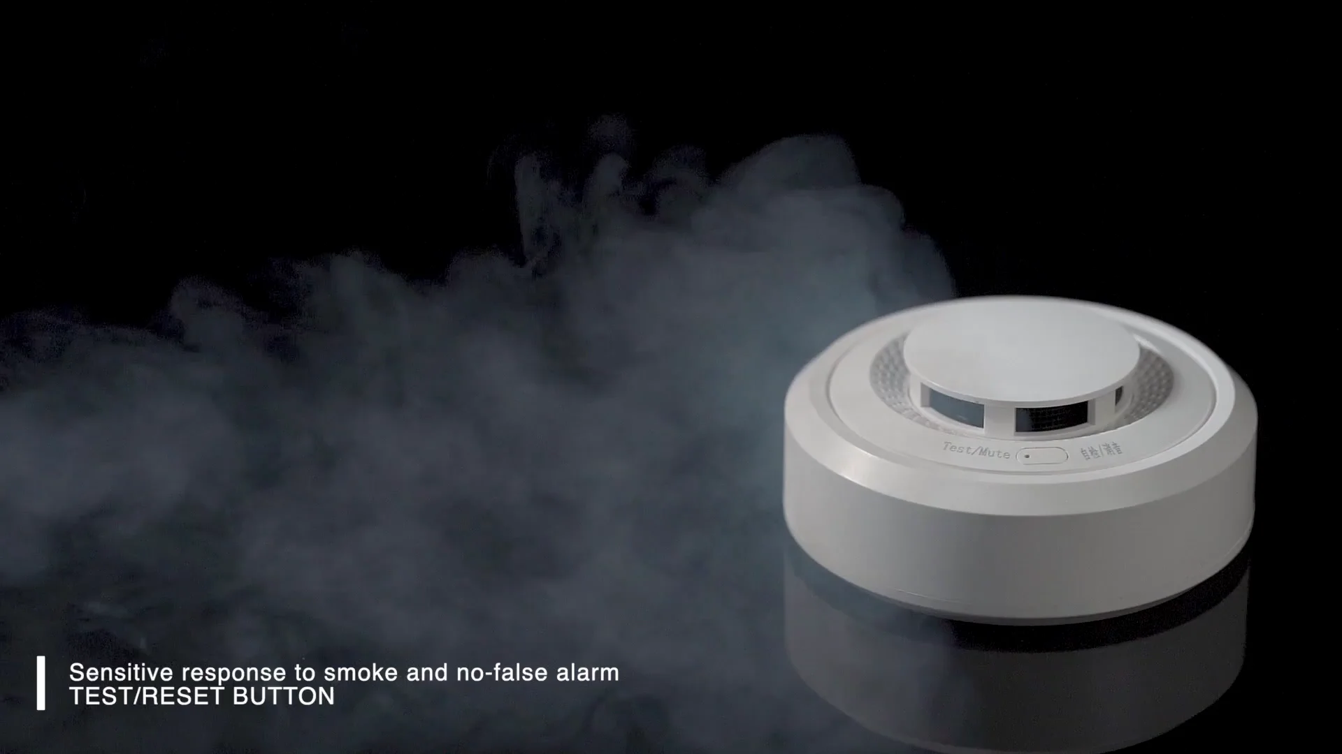 Audible Locations In House First Alert Battery Duct Smoke And Heat ...